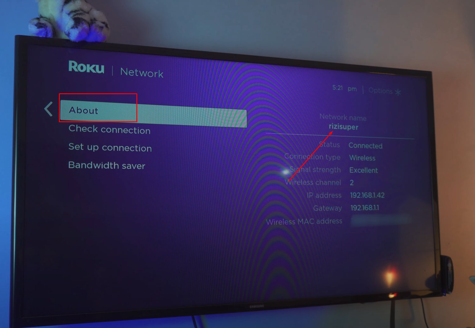 How to Mirror iPhone Screen to Roku Express – ScreenMirror